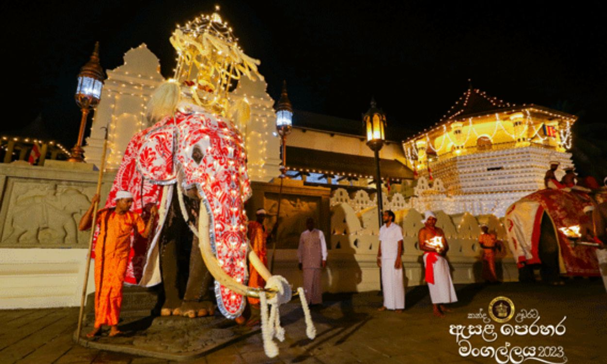 2024 Kandy Esala Perahera - August - Red Ant Tours 2024 Kandy Esala Perahera - August - Red Ant Tours